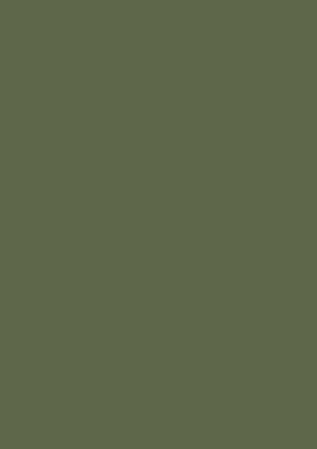 Bancha | Farrow & Ball - Noble - Your Life in Colour