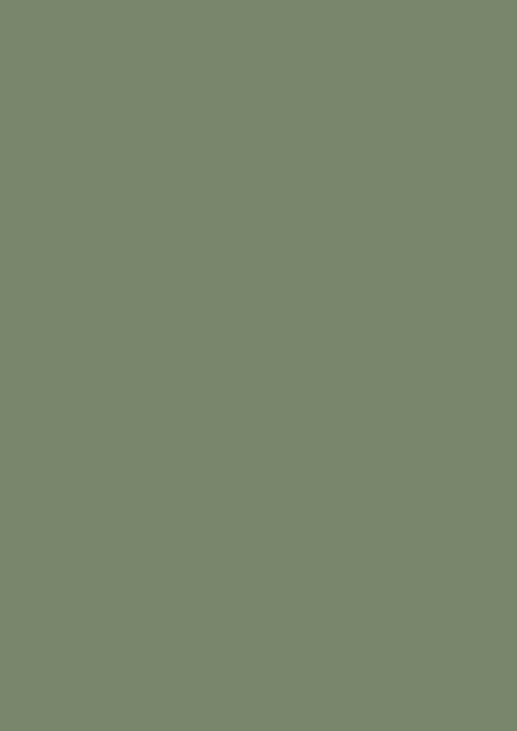 Calke Green | Farrow & Ball - Noble - Your Life in Colour