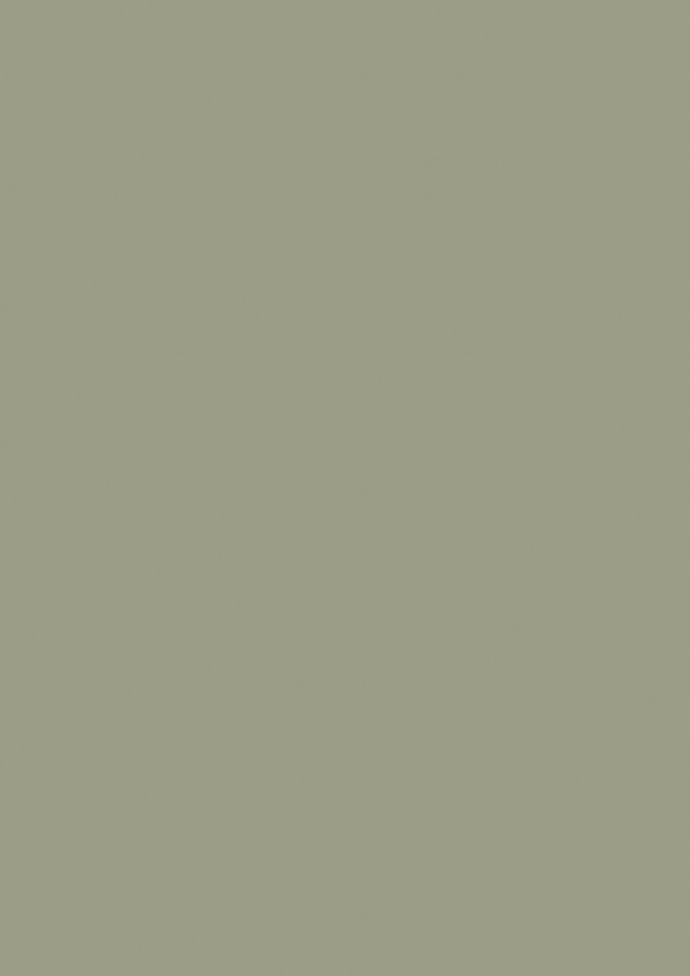 Lichen | Farrow & Ball - Noble - Your Life in Colour Lichen | Farrow & Ball - Noble - Your Life in Colour